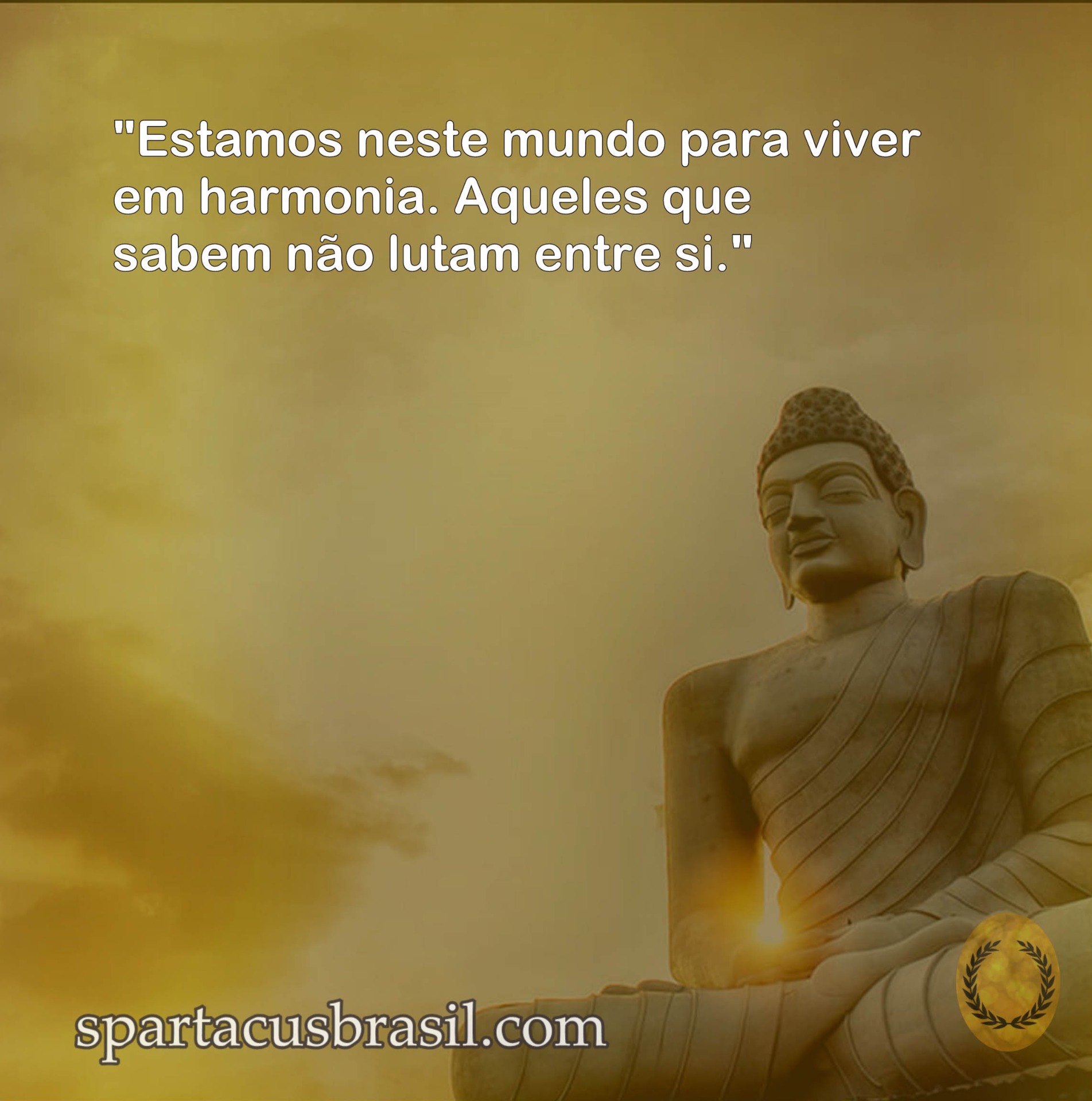 Positividade 10 Melhores Frases Budistas Curtas Spartacus Brasil